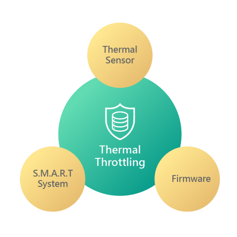 Thermal Throttling - Neteon